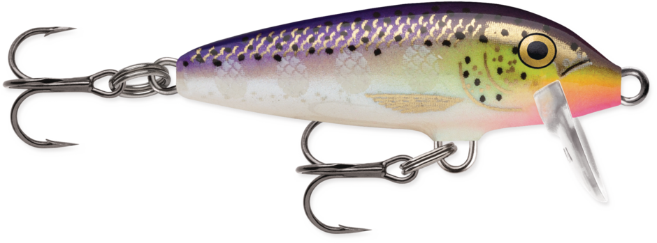 rapala floating minnow
