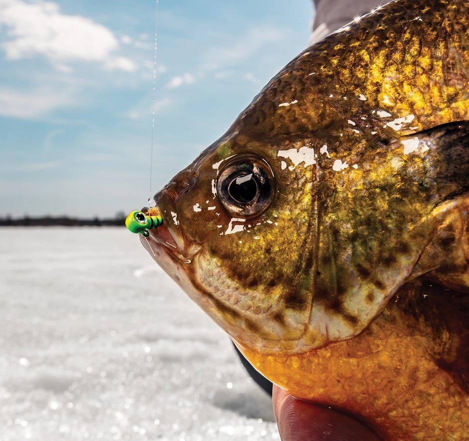 Tungsten Larv Eye Jig | VMC